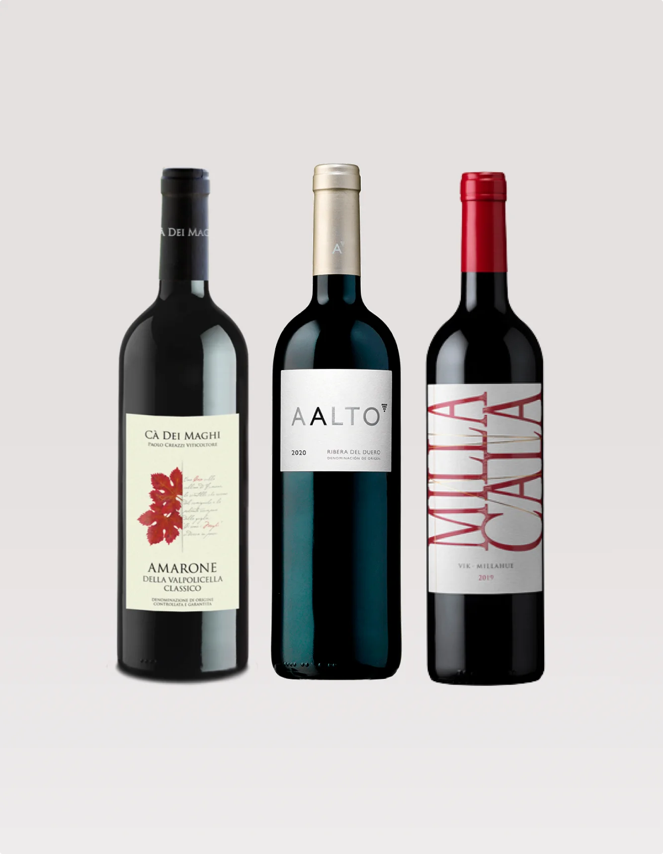 Bold & Aged Wine Bundle – Deep, Cellar-Worthy Reds | Raravina